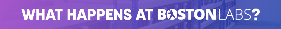 A Day at Boston Labs